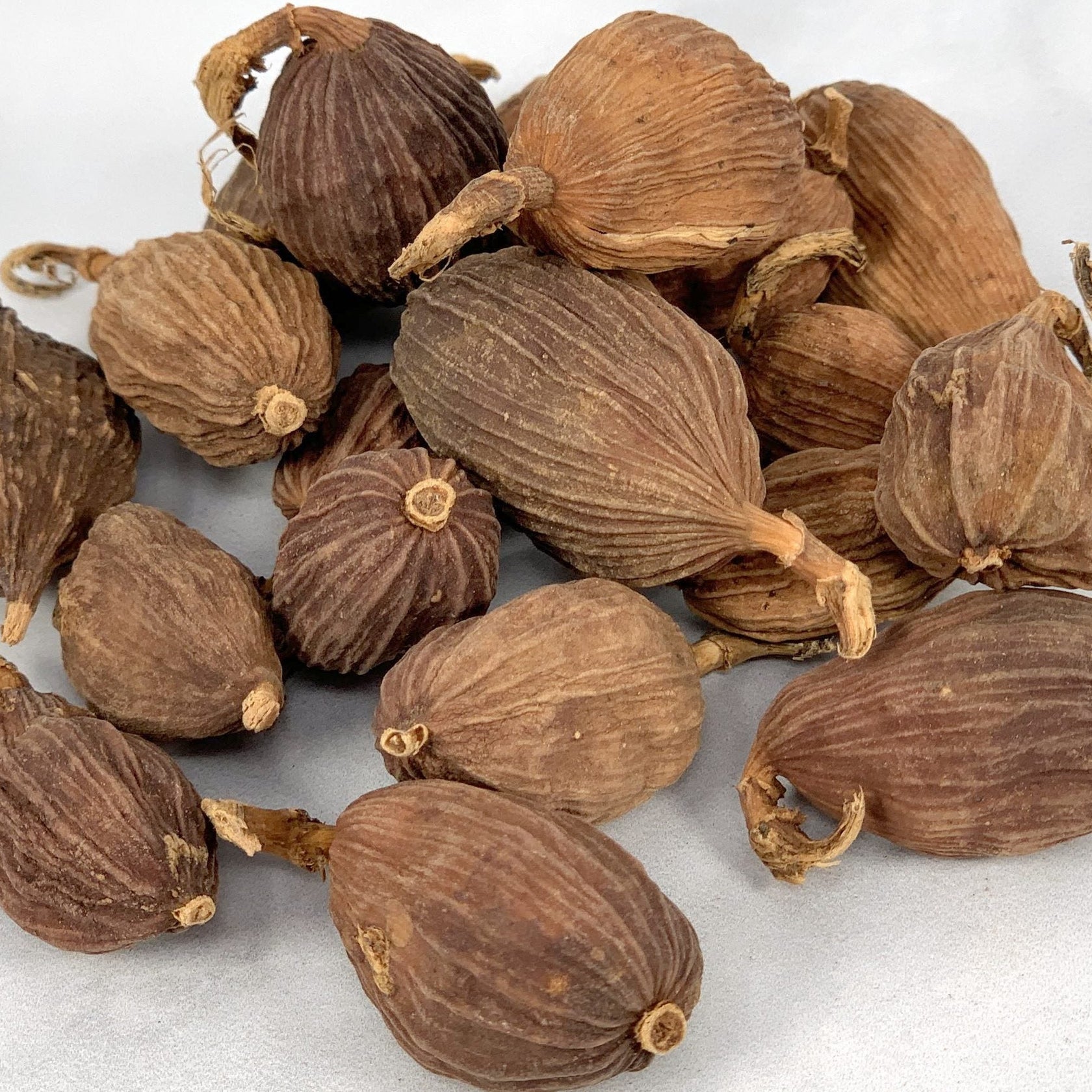Red Cardamom, Whole (Cao Guo) – Old Town Spice Shop