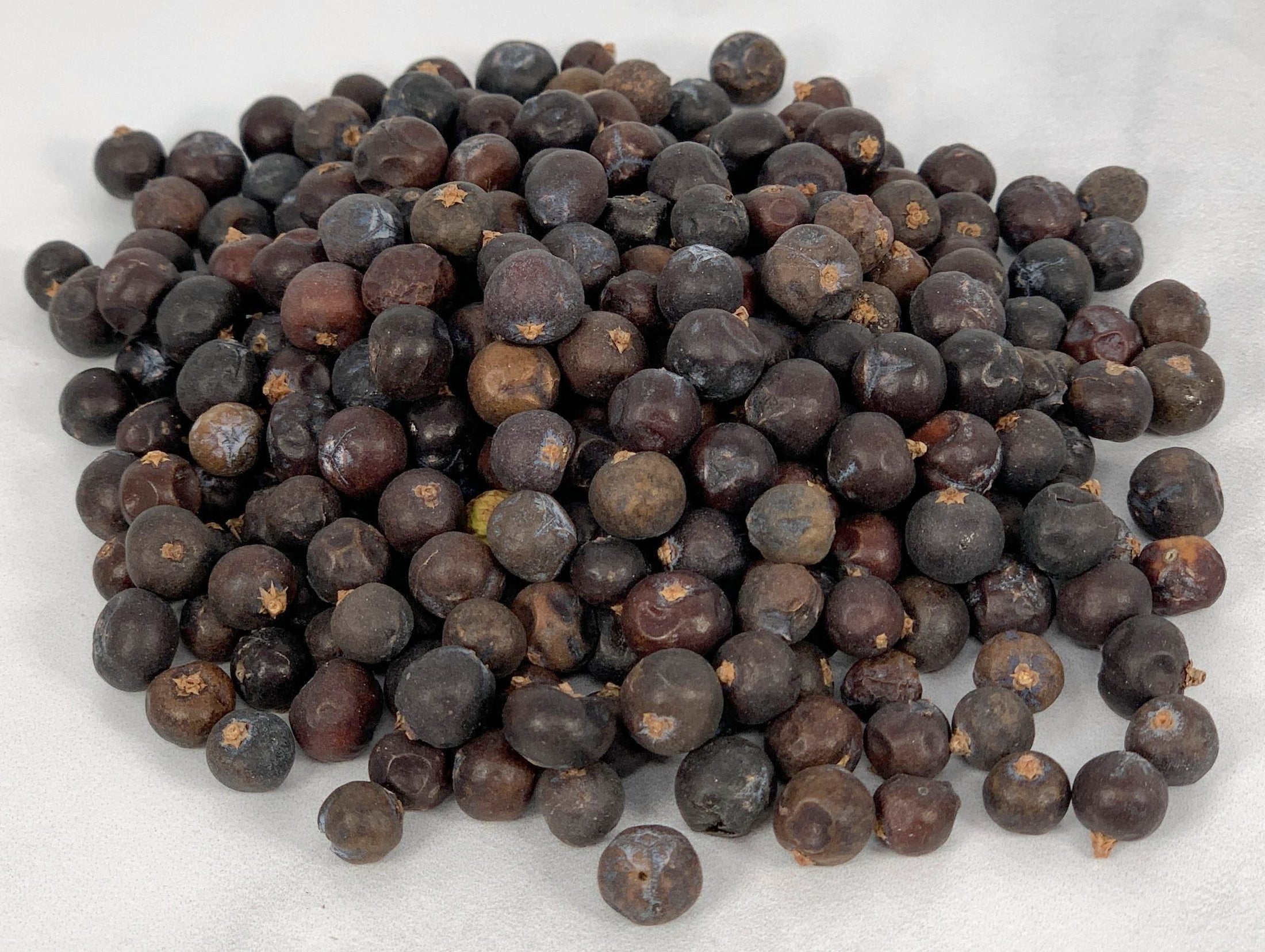 Juniper Berries – Old Town Spice Shop
