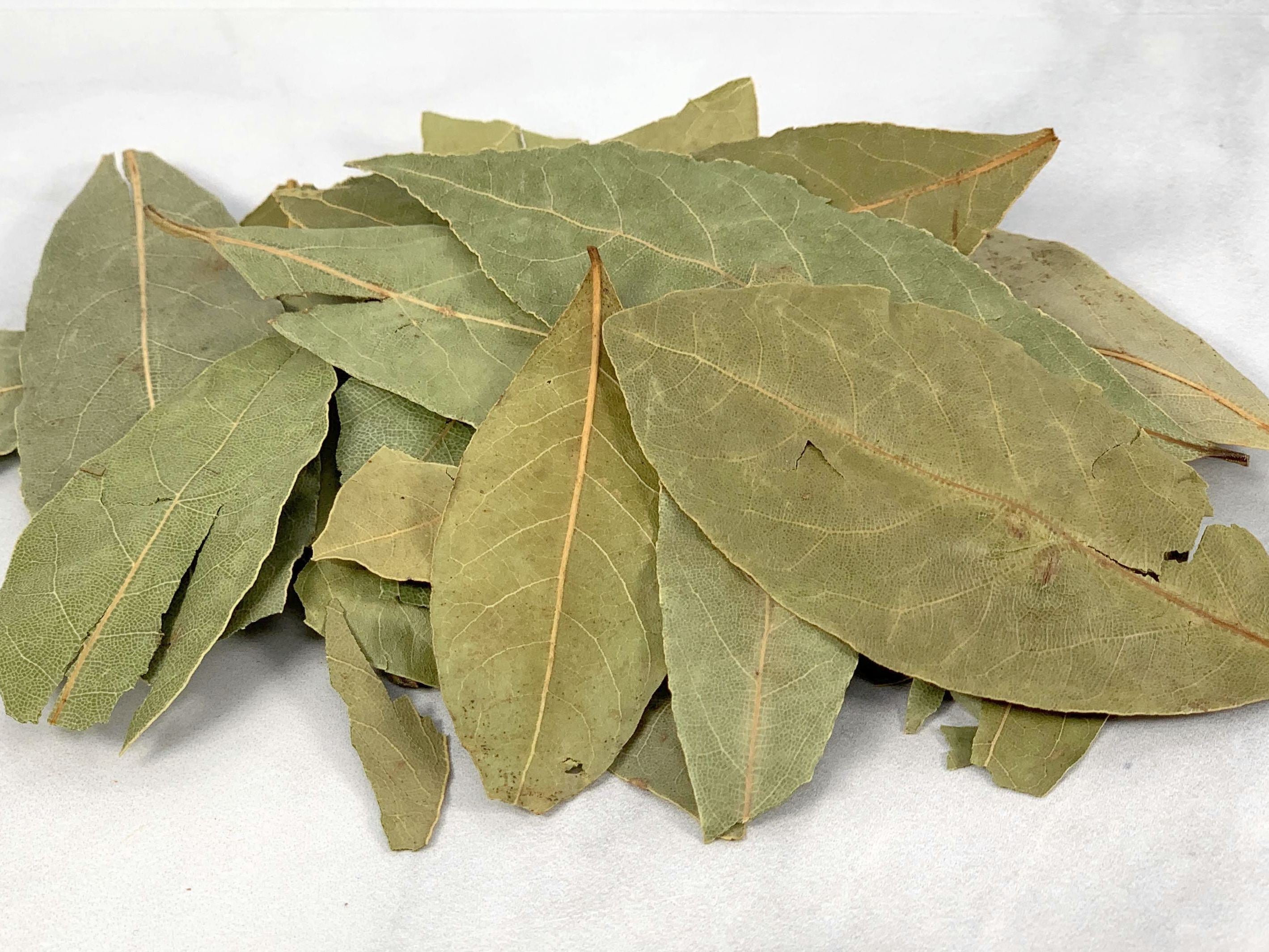 Bay Leaf, Whole – Old Town Spice Shop